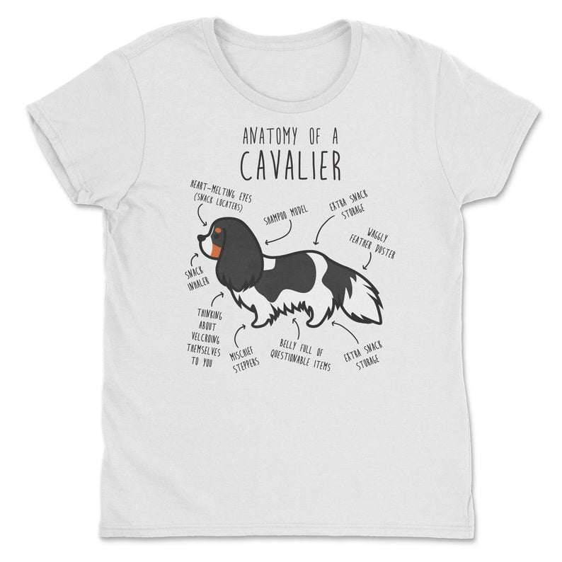 Cavalier King Charles Spaniel Shirt Funny Tri Color Cav Lover T Shirt