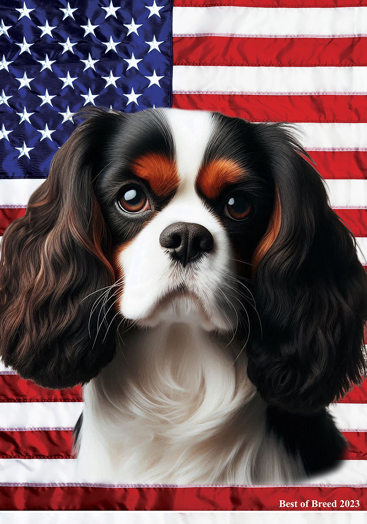 Cavalier King Charles Tri - Best of Breed All-American Patriotic III ...