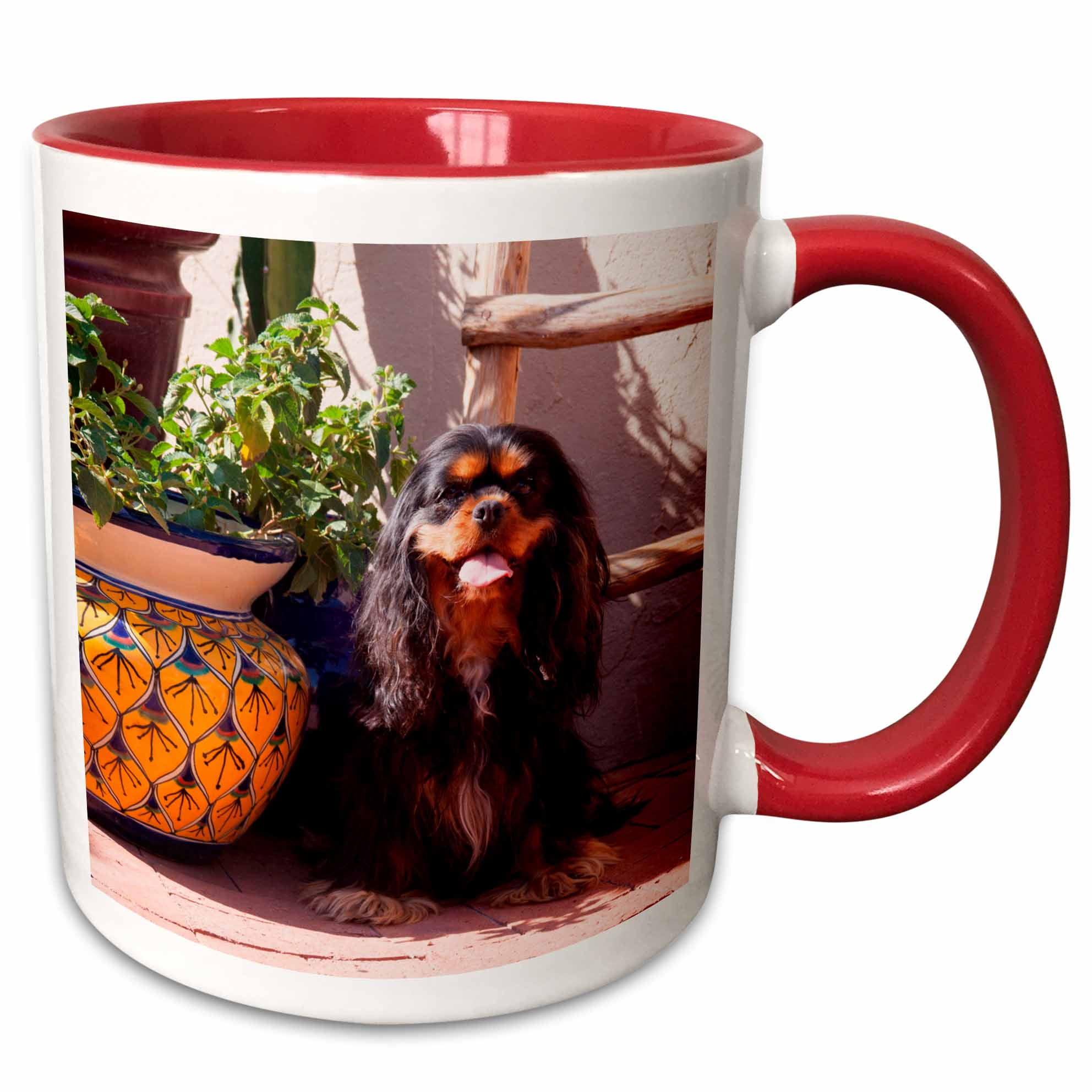 3drose, Cavalier Sitting on Garden Patio with Flower Pots, Mr, 11oz Two ...