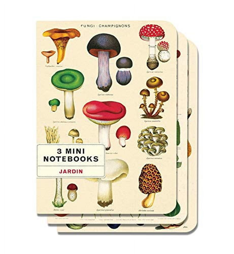 Cavallini & Co. Jardin Mini Notebooks - Walmart.com