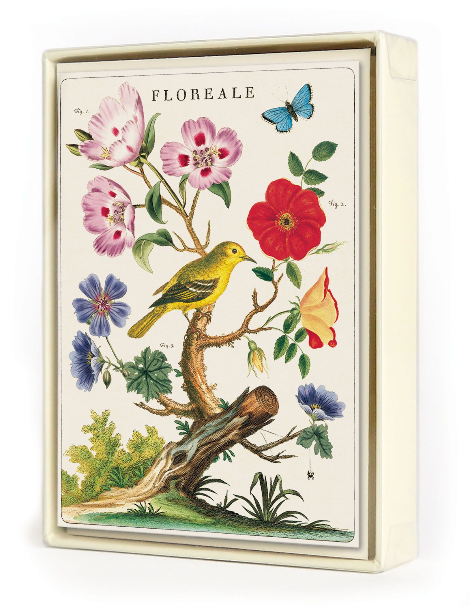 Cavallini Floreale Boxed Note Cards - Set of 8 - Walmart.com