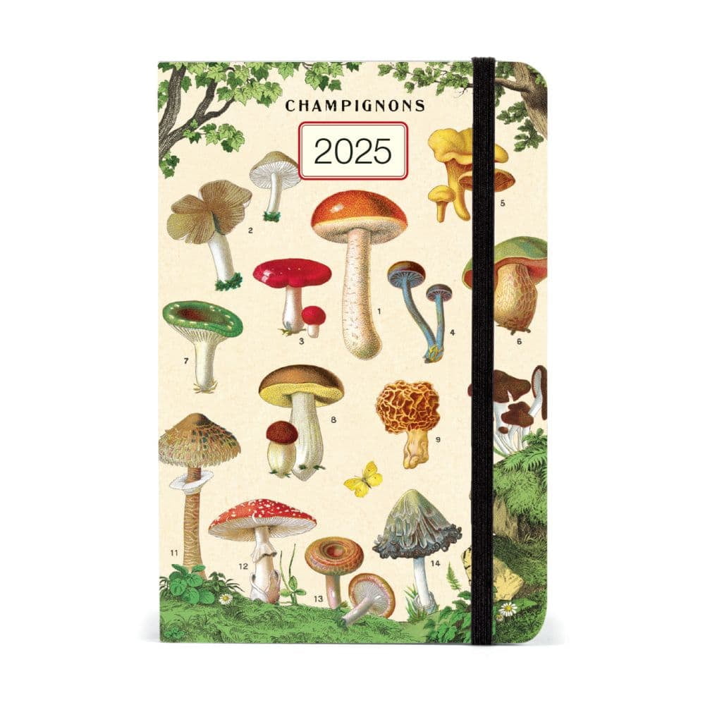 Cavallini Papers & Co., Mushrooms Weekly 2025 Planner - Walmart.com