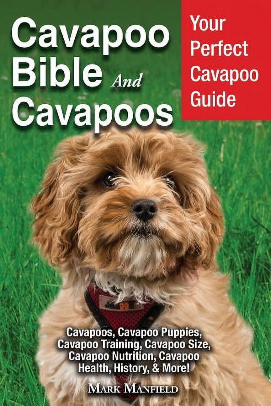 Cavapoo Bible And Cavapoos: Your Perfect Cavapoo Guide Cavapoos ...