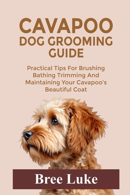Cavapoo Dog Grooming Guide: Practical Tips For Brushing Bathing ...