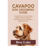 Cavapoo Dog Grooming Guide: Practical Tips For Brushing Bathing ...