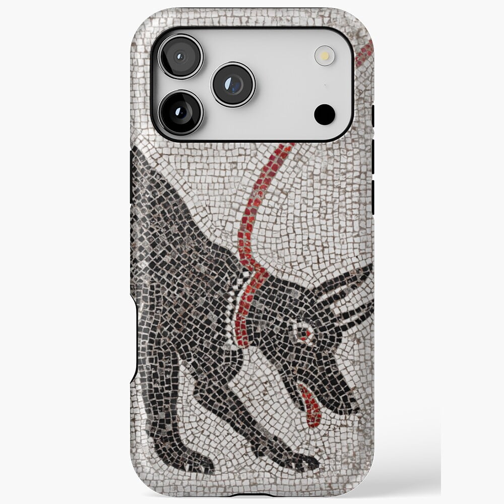 Cave Canem Beware Of Dog Funny Sign Phone Cover for iPhone 11 12 13 14 ...