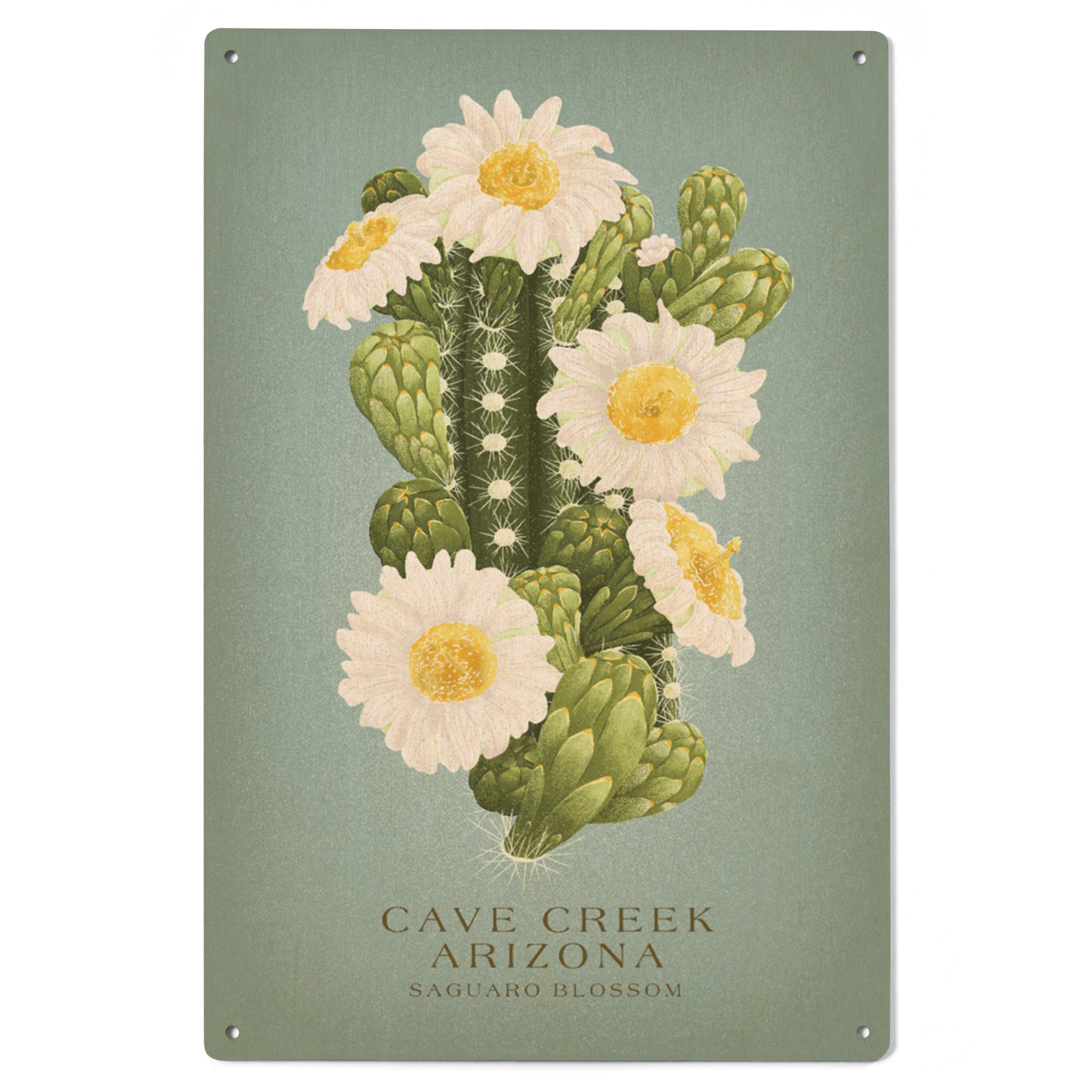 Cave Creek, Arizona, Vintage Flora, State Series, Saguaro Blossom Birch ...