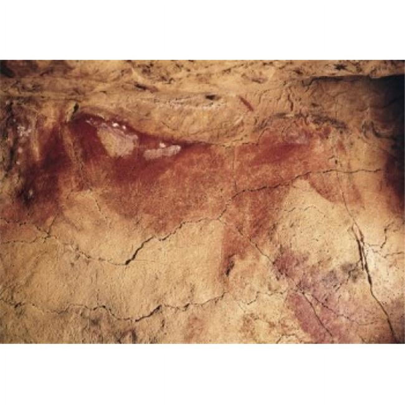 Cave Paintings-Animals Prehistoric Art Altamira Caves Santillana del ...