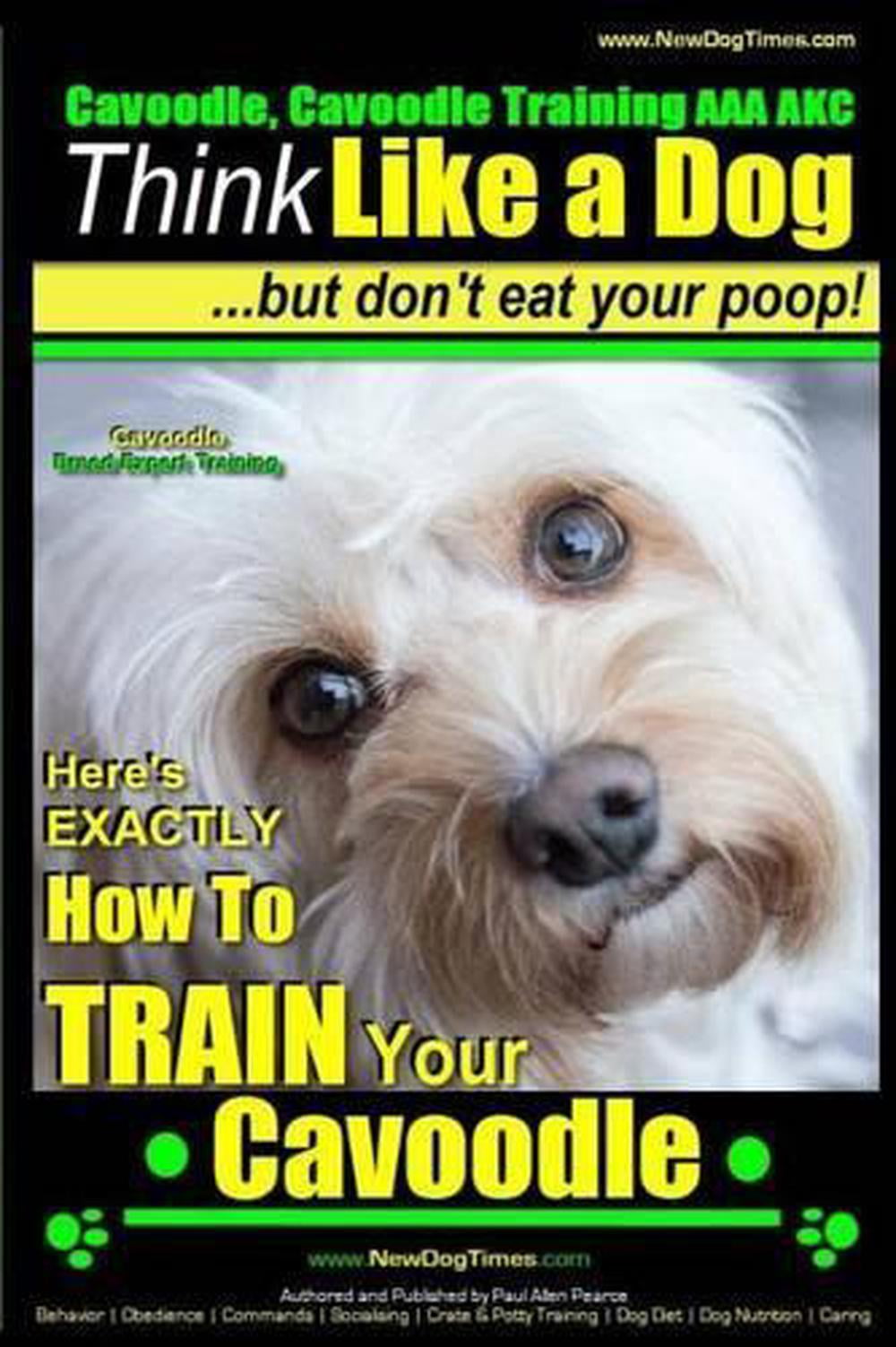 Cavoodle, Cavoodle Training AAA Akc: - Think Like a Dog But Don't Eat ...
