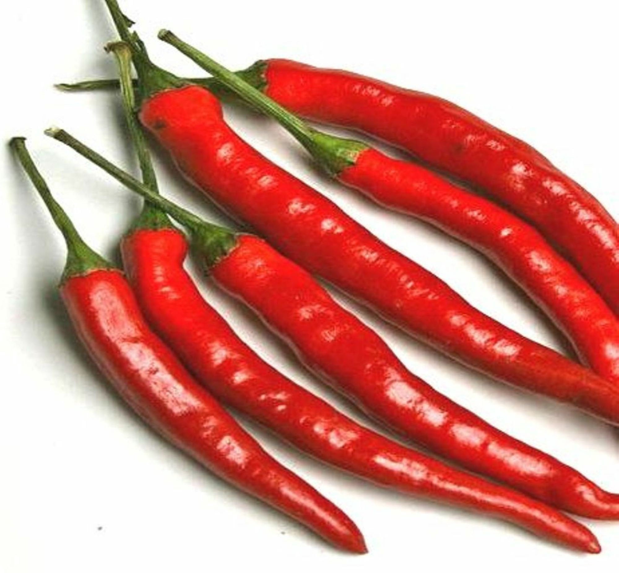 Cayenne Long Thin Red Pepper Seeds/ Full Sun/ Perennial/ 1/4 oz ...