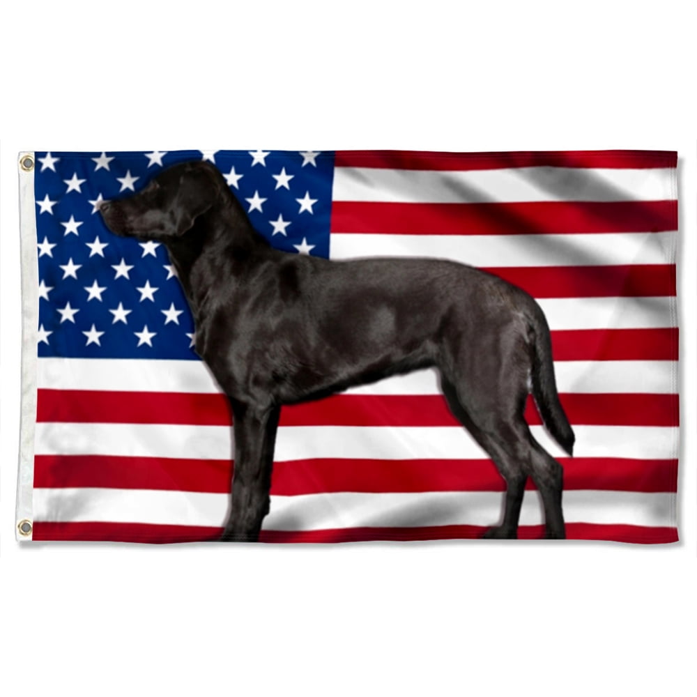 Cayyon Black Labrador Retriever Dog Grommet Flag 3x5Feet Banner with 2 ...