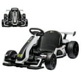 CazToi 24V Go Karts for Kids Dual 150W Motors 8MPH Speed 110LBS ...