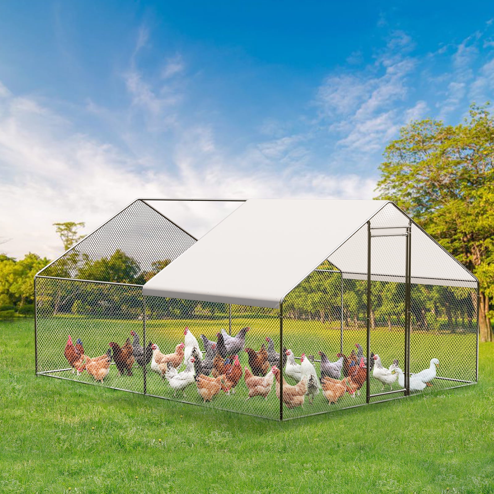 CazToi 9.8*6.5*6.5 Ft Walk In Chicken Coop Heavy Duty Metal with ...