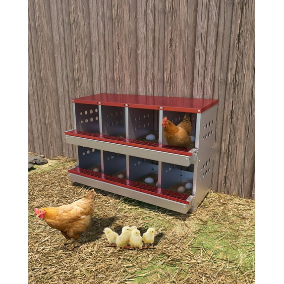 CazToi Galvanized Metal Chicken Nesting Box Egg Collection Tray Fake ...
