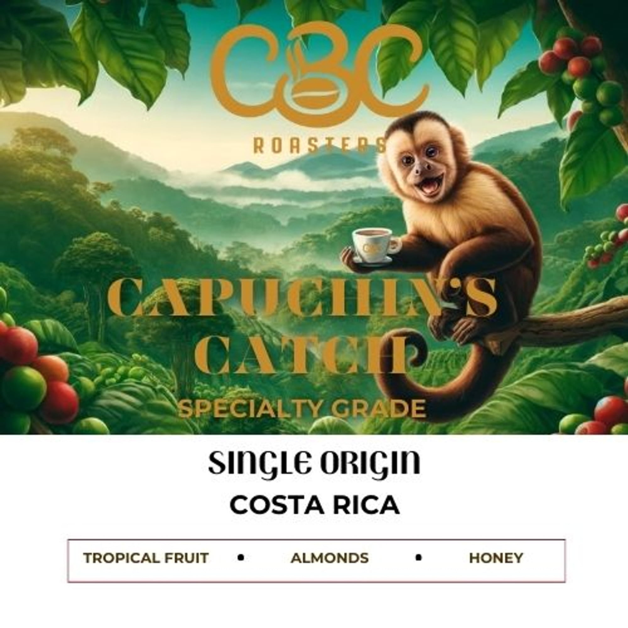 Cbc Roasters Capuchin's Catch - Costa Rican Single Origin Coffee - 12 ...