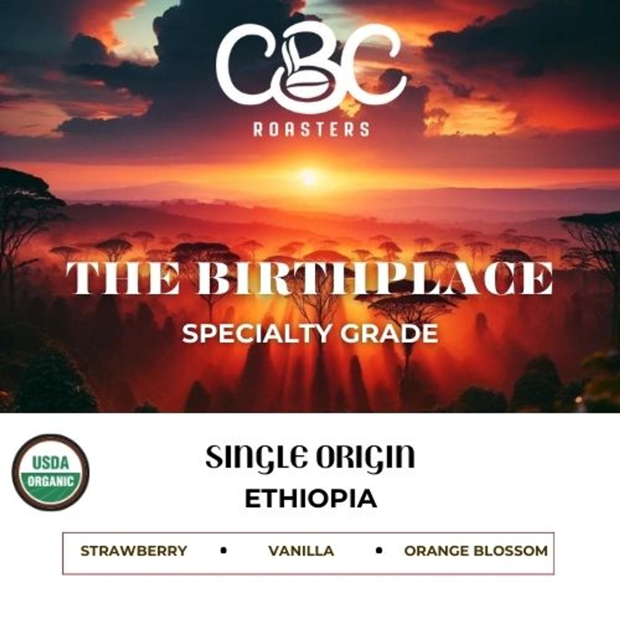 Cbc Roasters the Birthplace - Organic Ethiopian Single Origin Coffee ...
