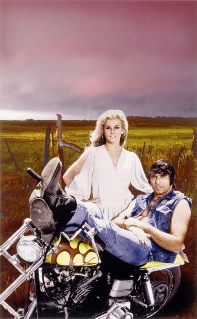 Cc And Company Movie Poster 24inx36in (61cm x 91cm) Art Poster 24x36 ...