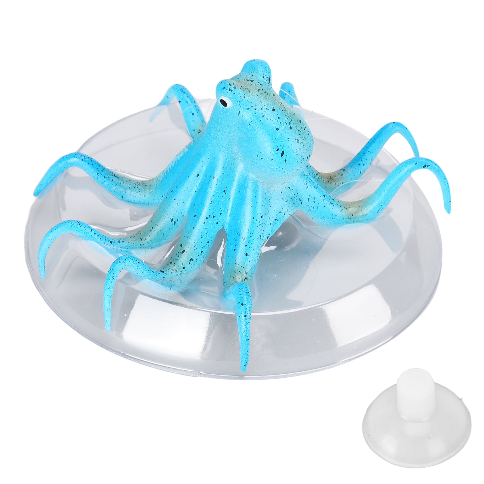 Saltwater Octopus
