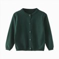 Ccpelsie Toddlers Girls Fall Winter Cable Knit Cardigan Sweater for ...