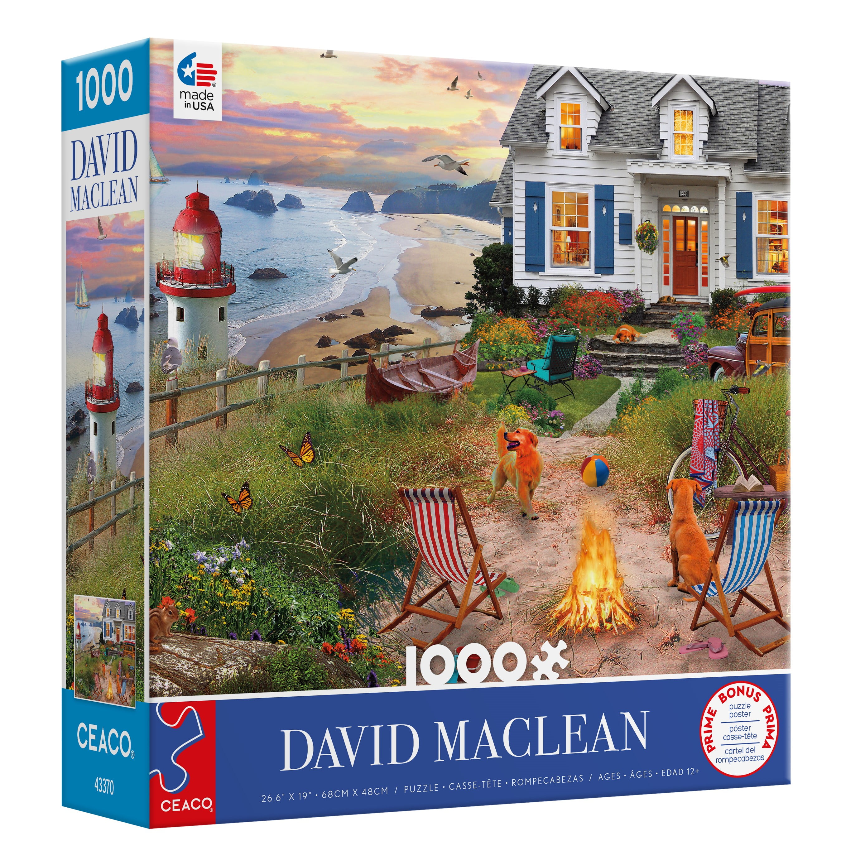 Ceaco 1000-Piece David Maclean Ocean Playground Nepal | Ubuy