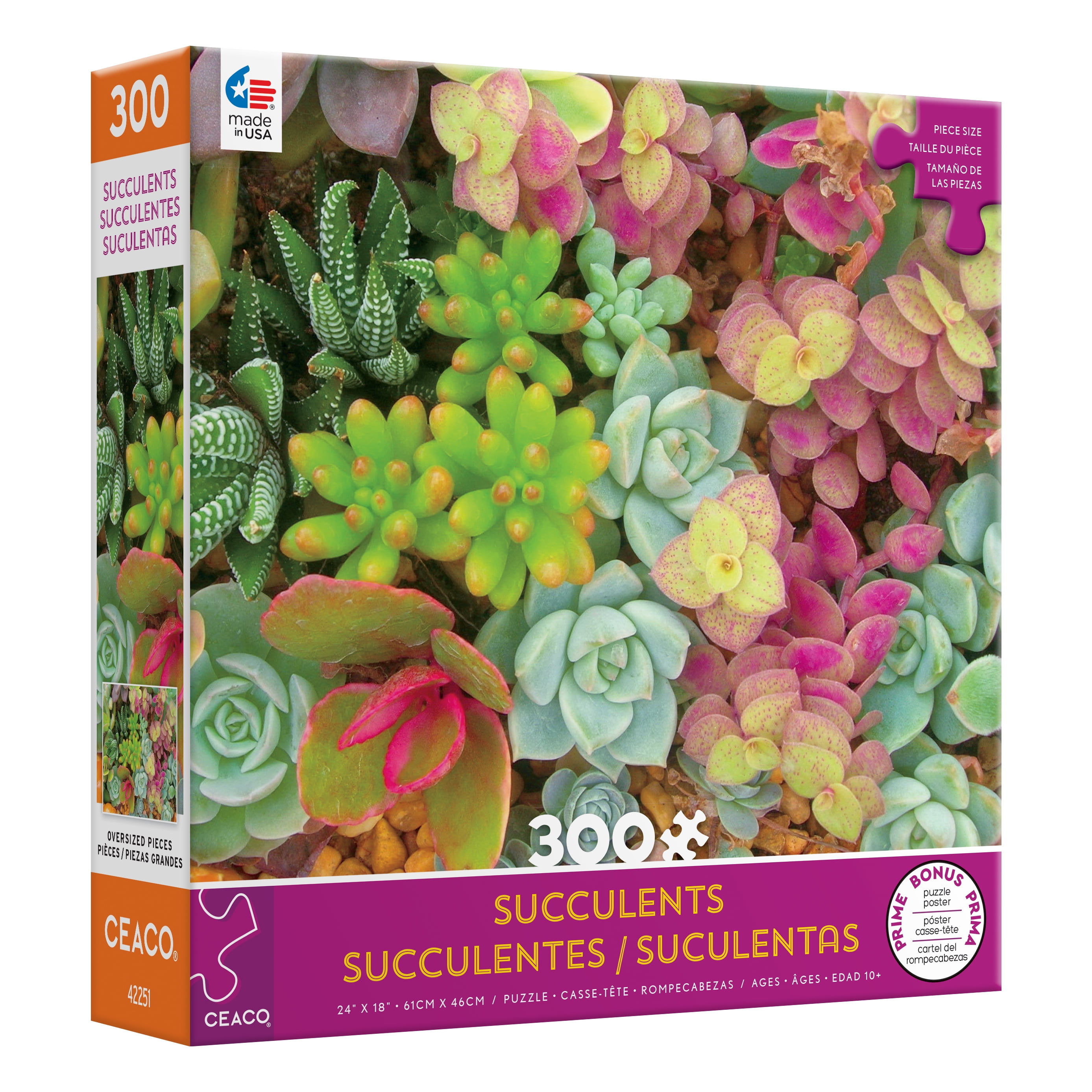 Ceaco 300pc Bright Succulents - 300 Piece Oversized Jigsaw Puzzle ...