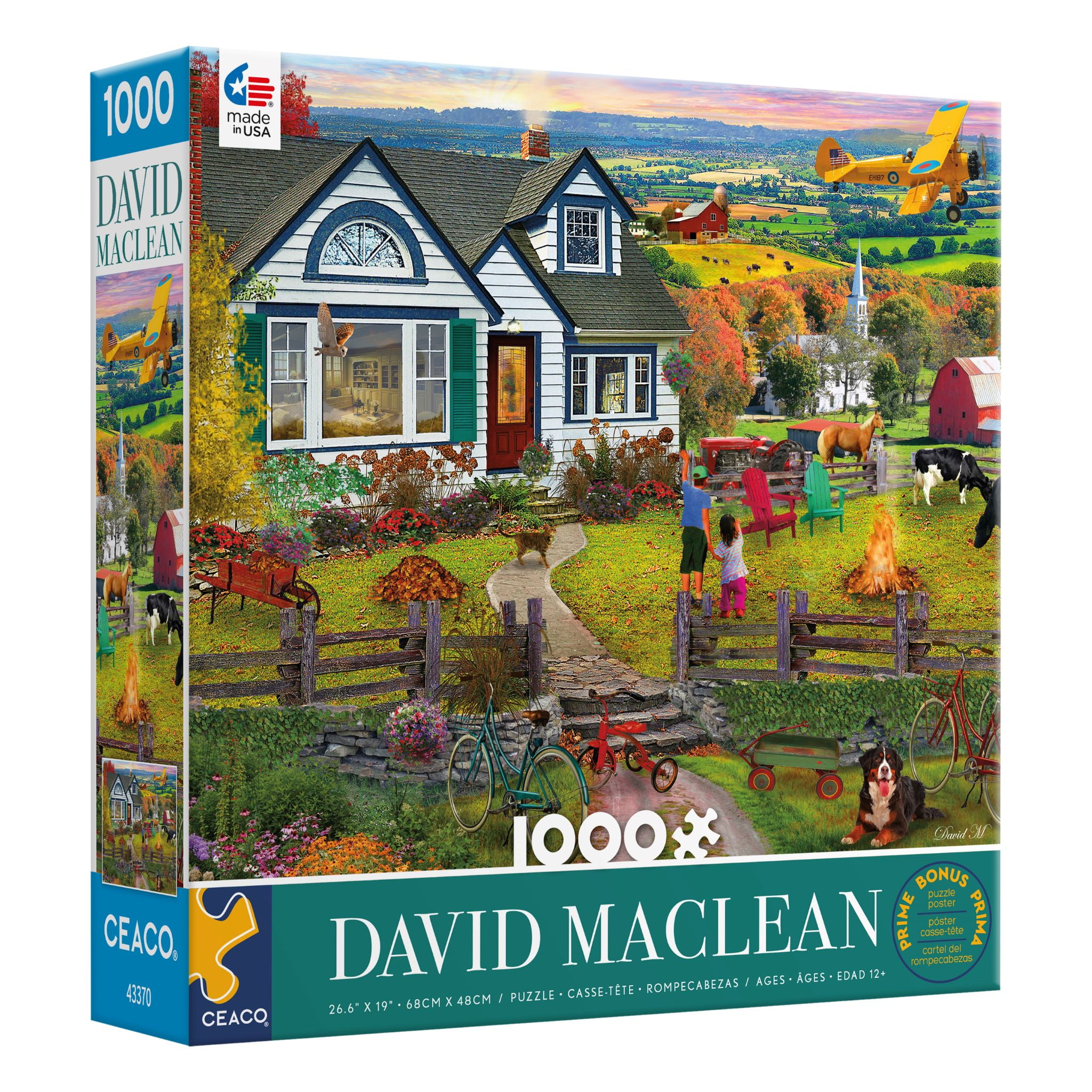 Ceaco - David Maclean - The Fly By - 1000 Piece Interlocking Jigsaw ...