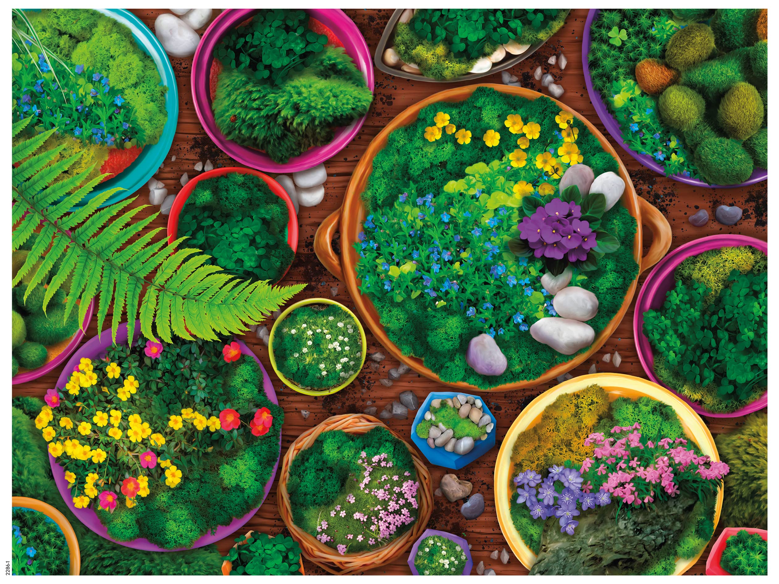 Ceaco - Marvelous Moss EC36 - Moss Bowls - Oversized 300 Piece Jigsaw Puzzle - Walmart.com