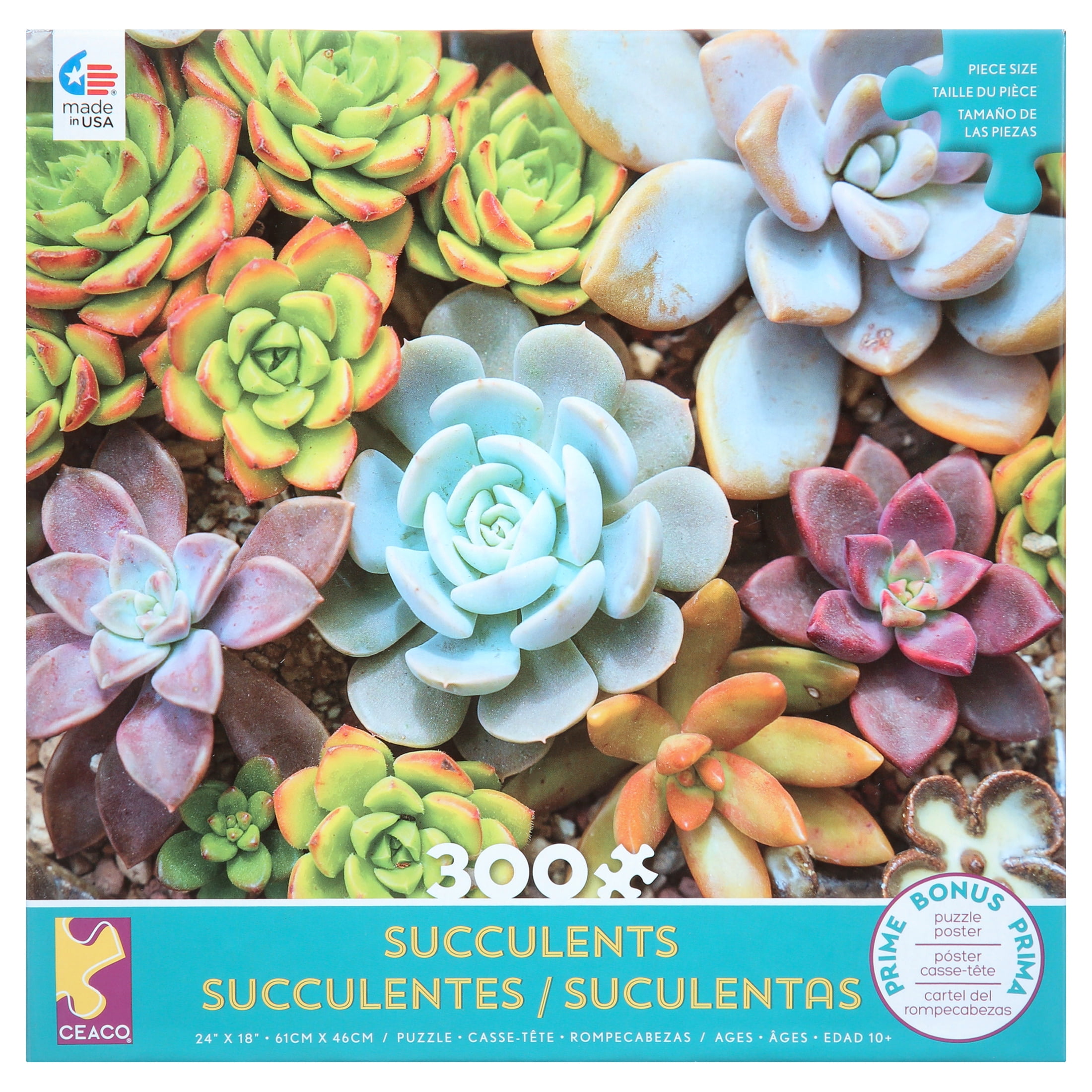 Ceaco Succulents 300 Piece Interlocking Jigsaw Puzzle - Walmart.com