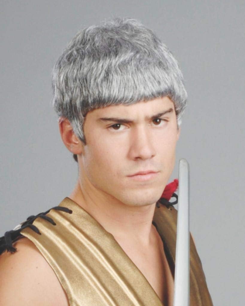 Ceasar Gladiator Color Grey - Enigma Wigs Men's Roman Greek Warrior ...