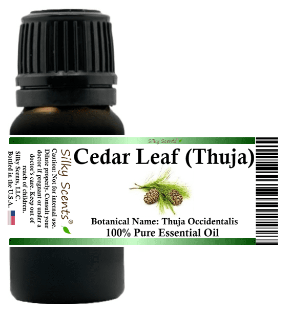 Cedar Leaf (Thuja) Essential Oil - White Cedar - Walmart.com
