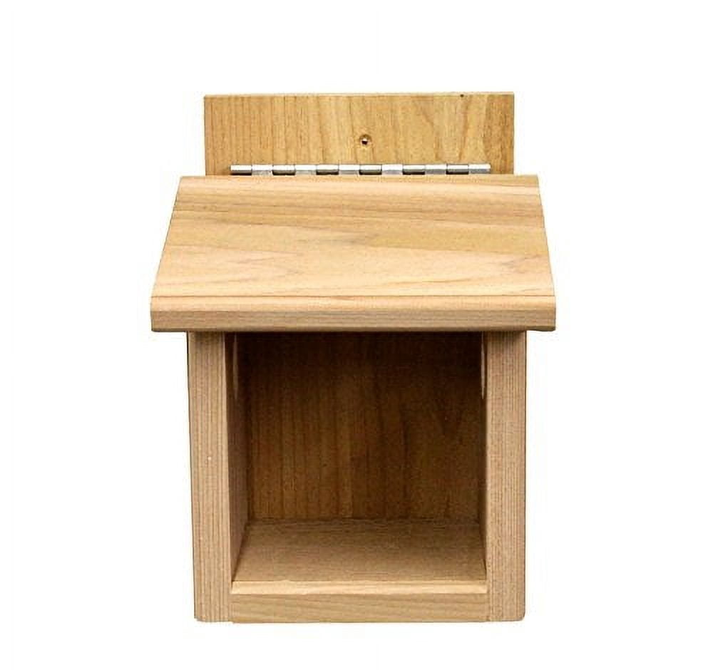 Cedar Post Mount Bluebird Mealworm Feeder - Walmart.com