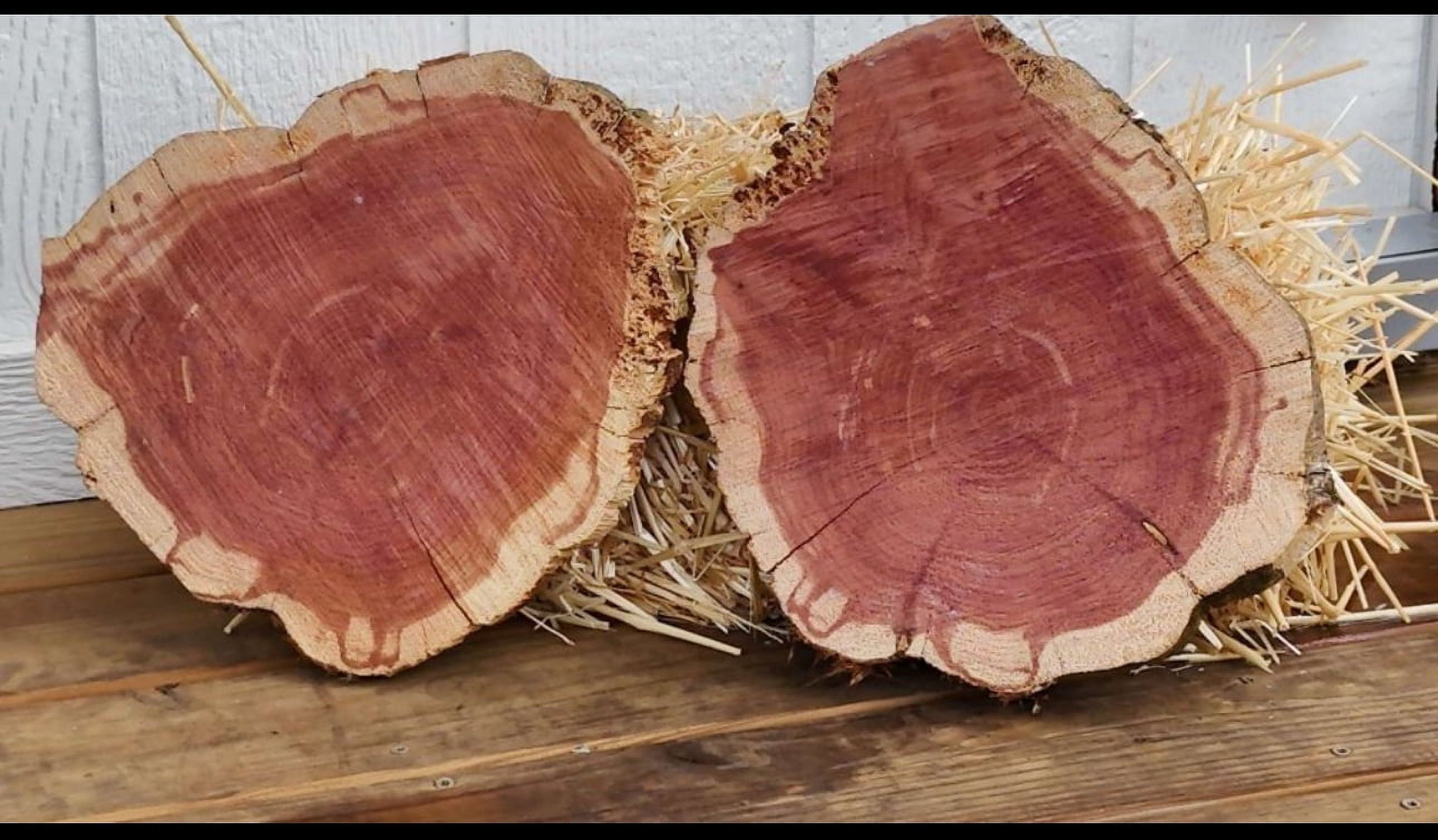 Cedar Rounds 12-13 inch - Walmart.com