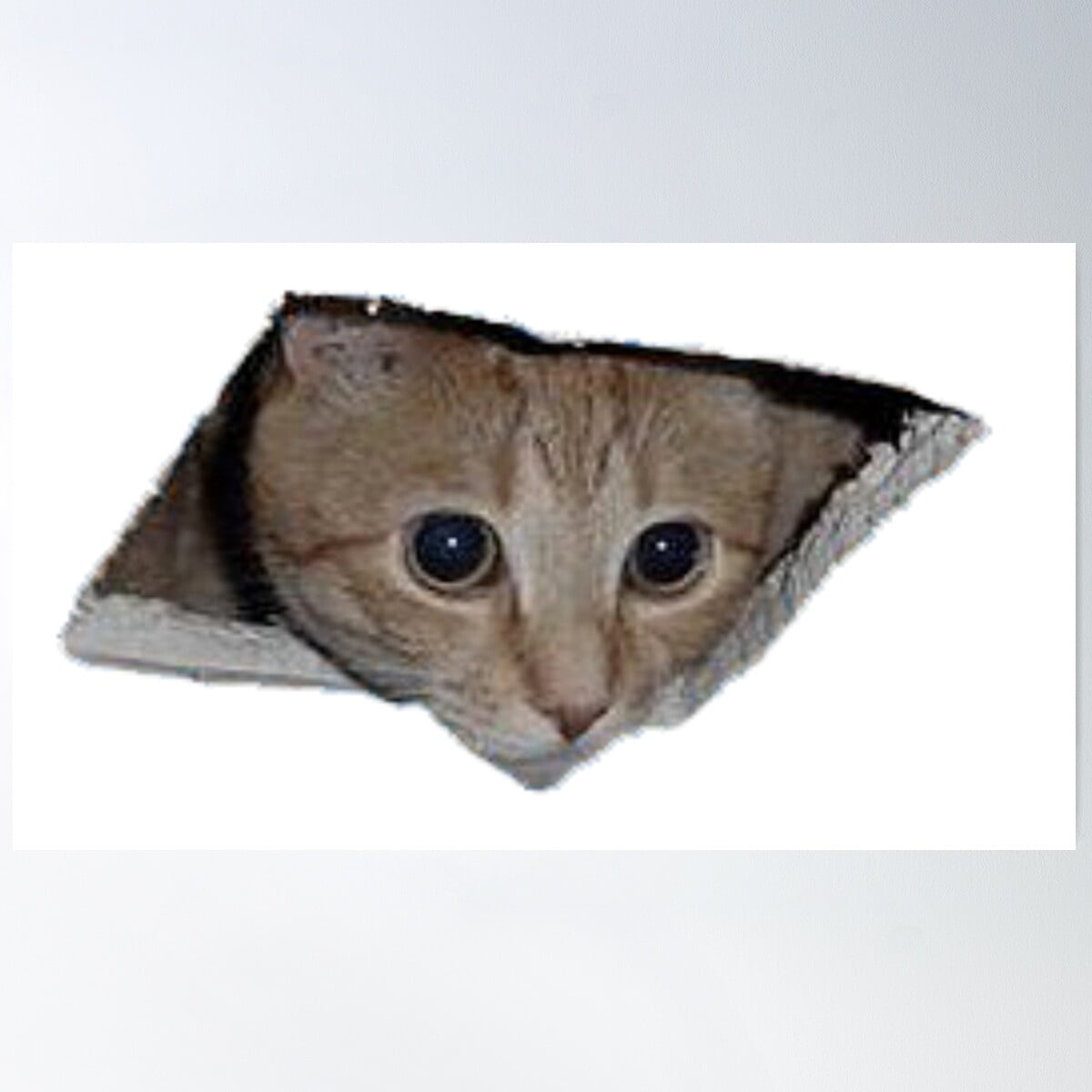 Ceiling Cat Meme Poster Wall Art, Modern Wall Decor For Living Room ...