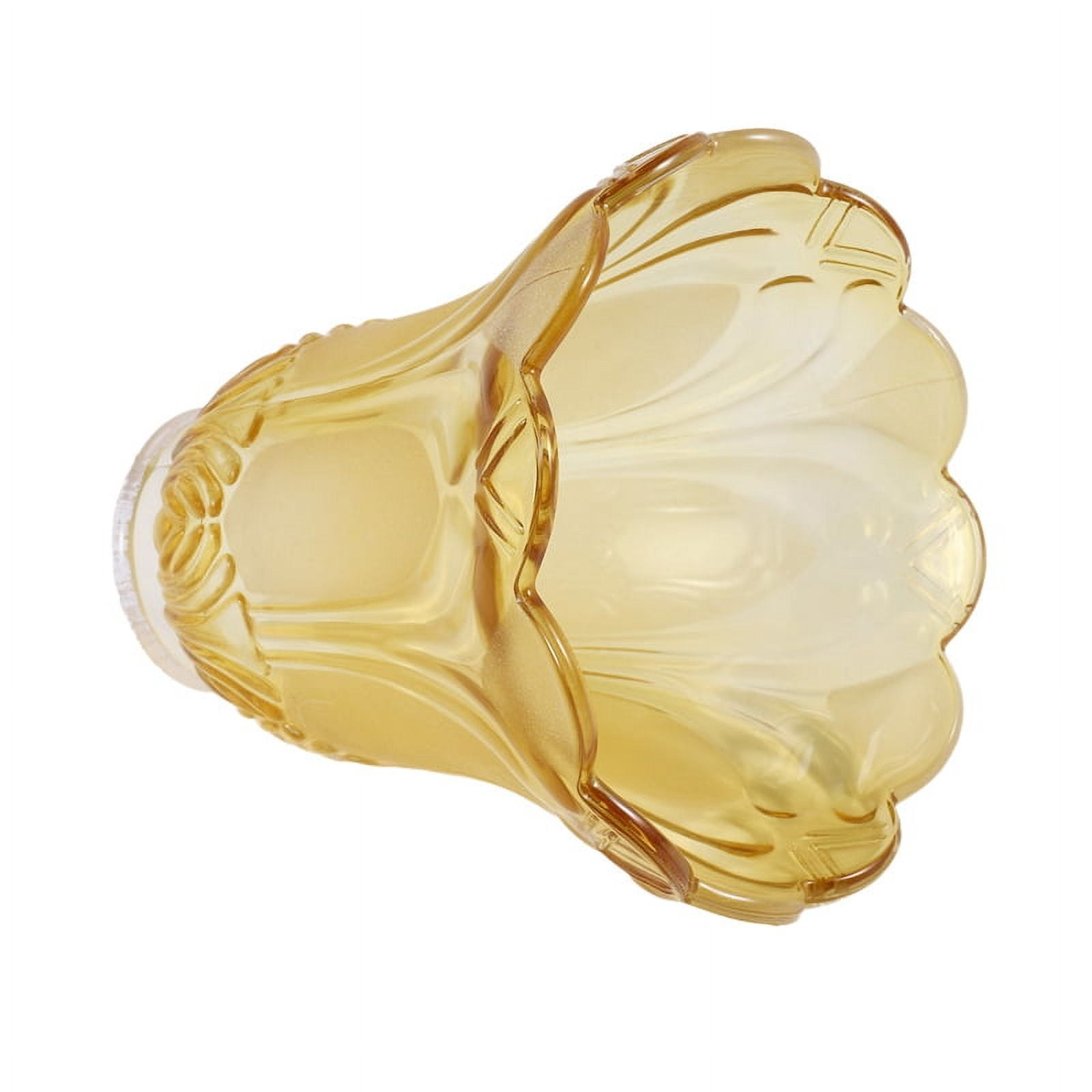 Ceiling Fan Chandelier Frosted and Clear Glass Light Lamp Shade ...