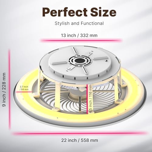Ceiling Fans with Lights and Remote Control 22 inch with Ambient Light ...