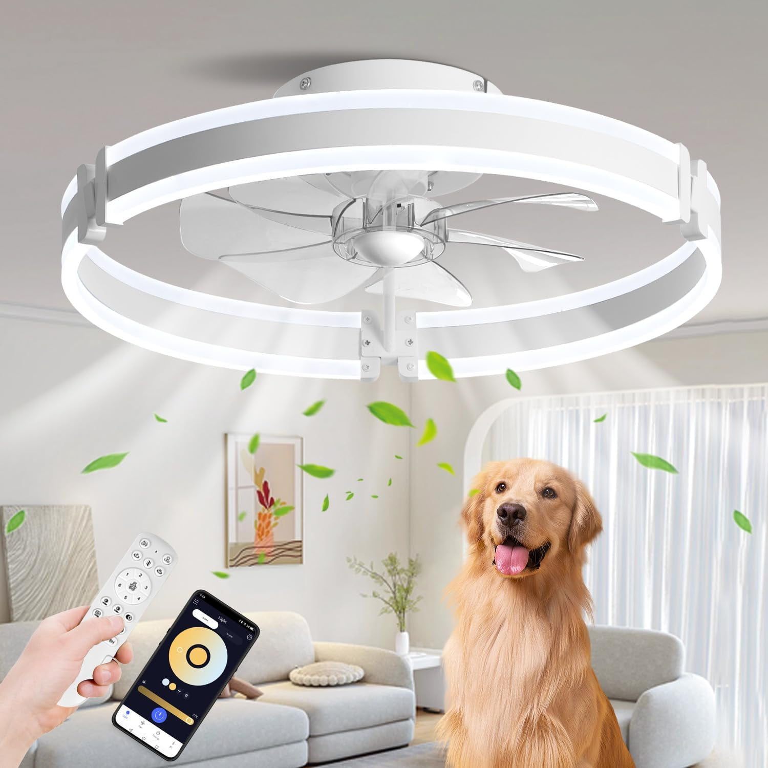 Ceiling Fans with Lights and Remote, Low Profile Ceiling Fan, 3000 ...
