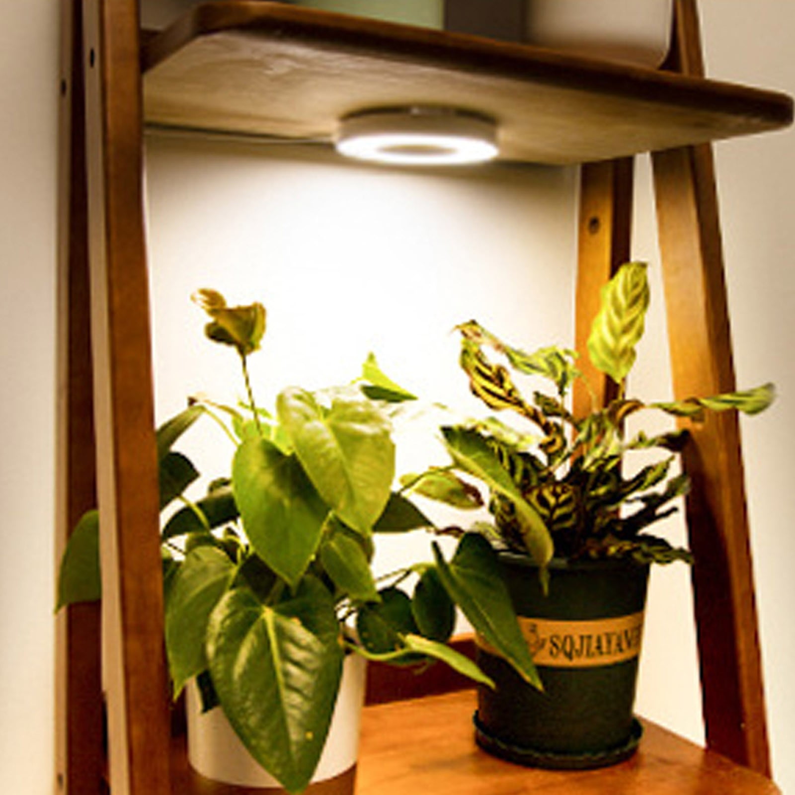 Ceiling Grow Light For Indoor Plants. LED Full Light Under Cabinet ...