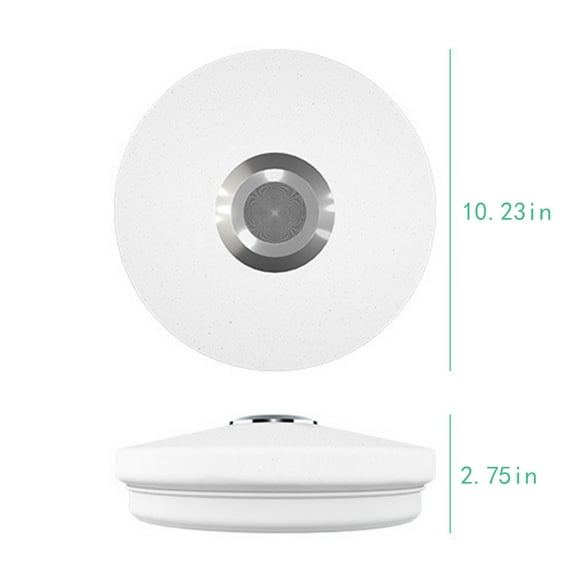 Bluetooth Ceiling Light