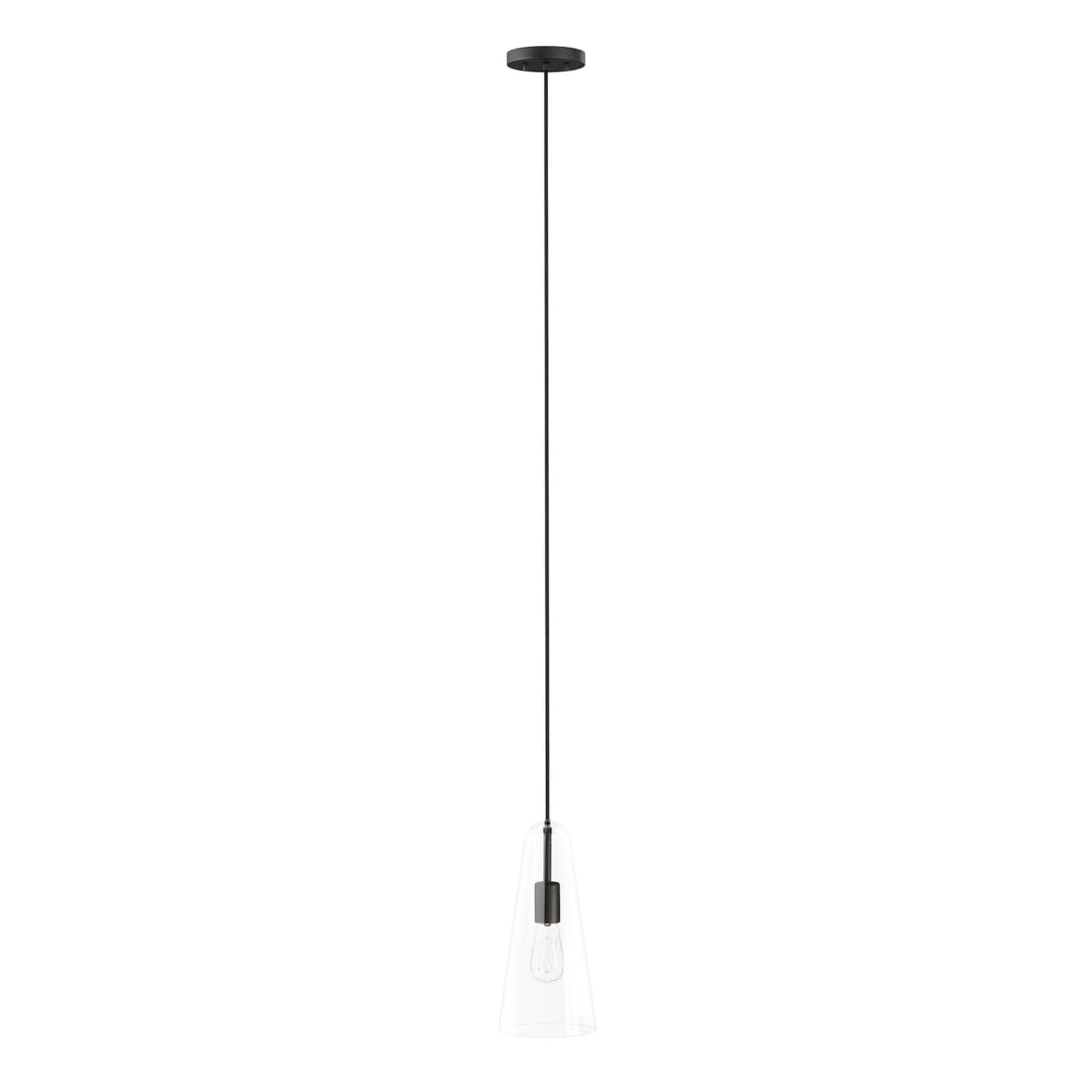 Ceiling Pendant Light Fixture, Clear Black, Glass, Kitchen Cafe Bistro ...