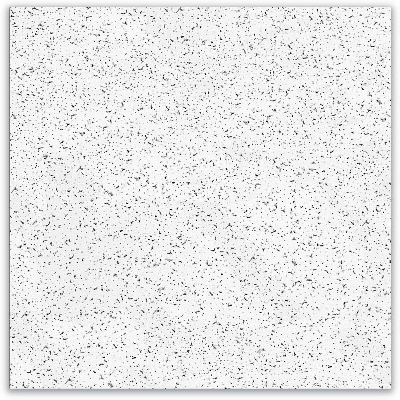 Ceiling Tiles; 2x2 Ceiling Tiles - 16 pcs White; Acoustic Ceilings for ...