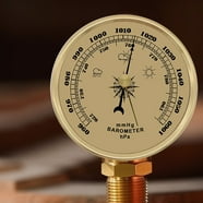 Golf Cart Clock FUNcaster Barometer Weather by TecScan - Walmart.com