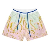 Ceisia Men's Fast-Drying Mesh Sport Shorts Gift - Breathable Gym ...