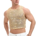 Ceisia Men's Rhinestone Mesh Crop Top Sleeveless Sheer Tank Top for ...