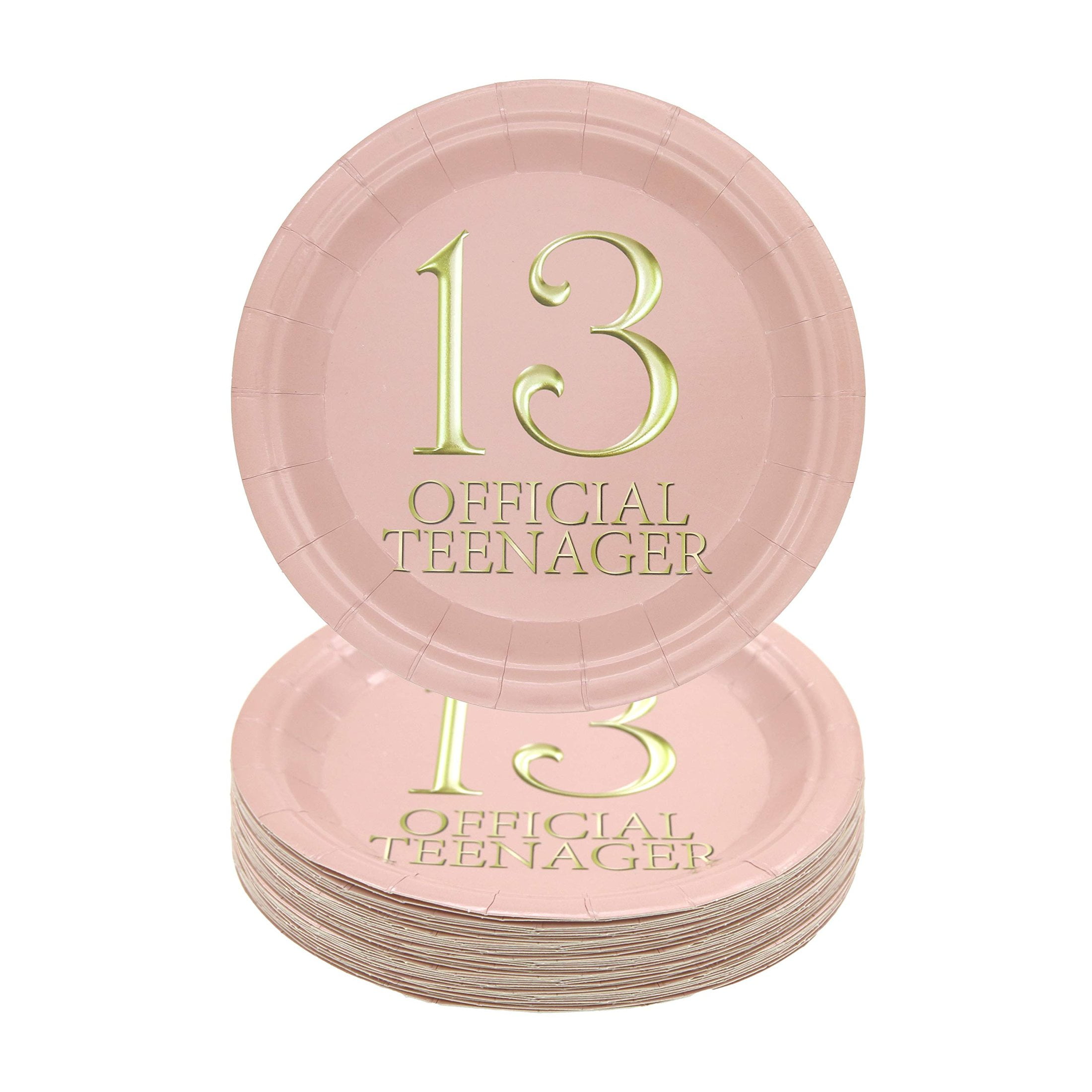 Celebrate 13 Paper Plates Set - 50 Count 7 Inch Disposable Cake and ...