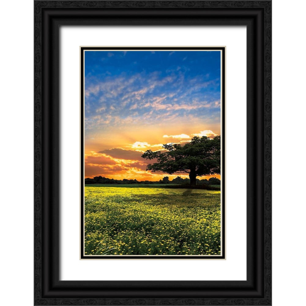 Celebrate Life Gallery 11x14 Black Ornate Wood Framed with Double ...