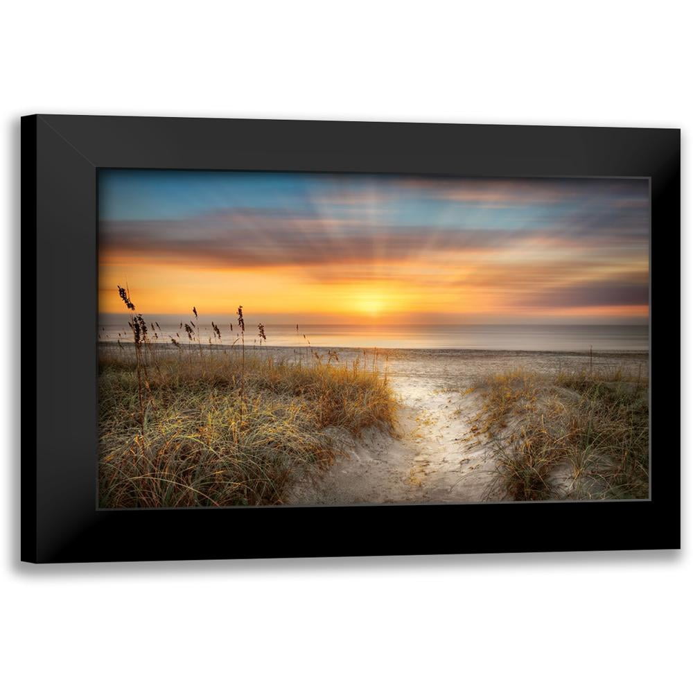 Celebrate Life Gallery 14x11 Black Modern Framed Museum Art Print ...