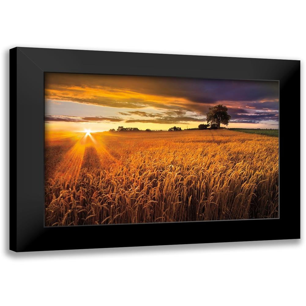Celebrate Life Gallery 18x13 Black Modern Framed Museum Art Print ...
