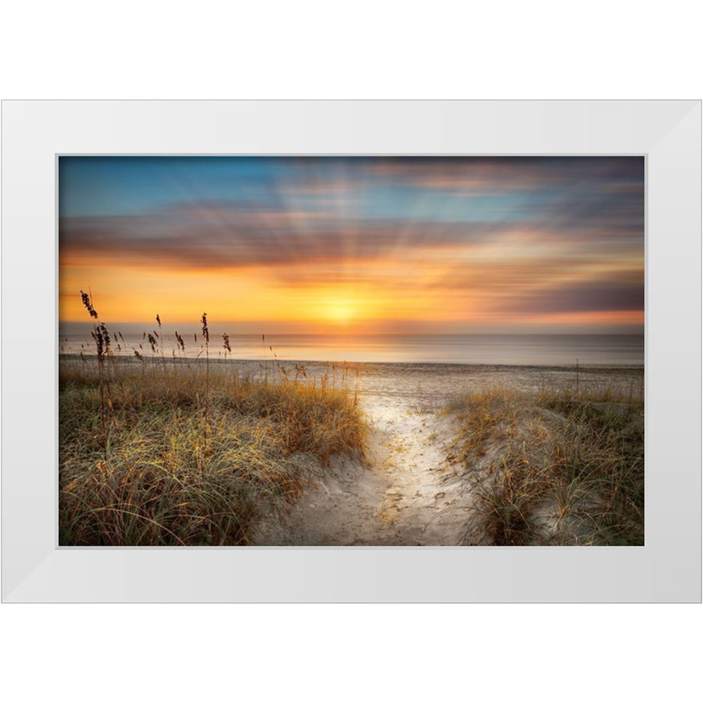 Celebrate Life Gallery 24x17 White Modern Wood Framed Museum Art Print ...