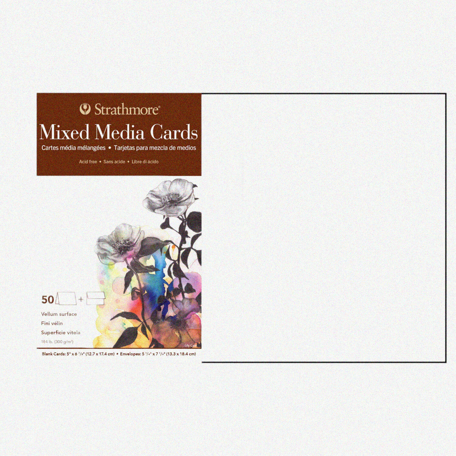 CelebrateLife Custom MixCards - 50 Pack of 5x6.875 inch Mixed Media ...