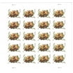 USPS, Garden Corsage Postage Stamps, 2 oz, Multicolor - Walmart.com